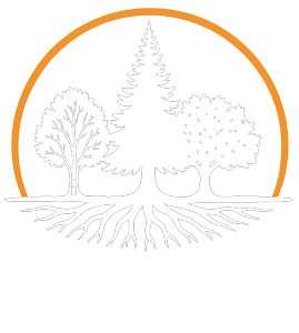 Home - Central Maine Online